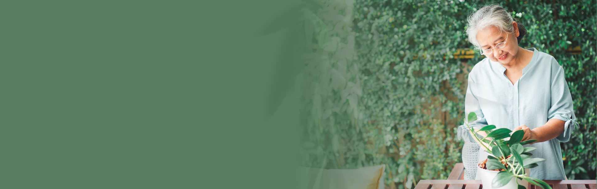 Senexus Wealth Management | Senexus | Leading you through aged care